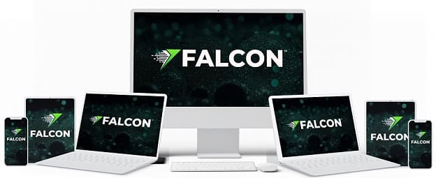 Falcon App Review: Massive Profits With WhatsApp™ Channels